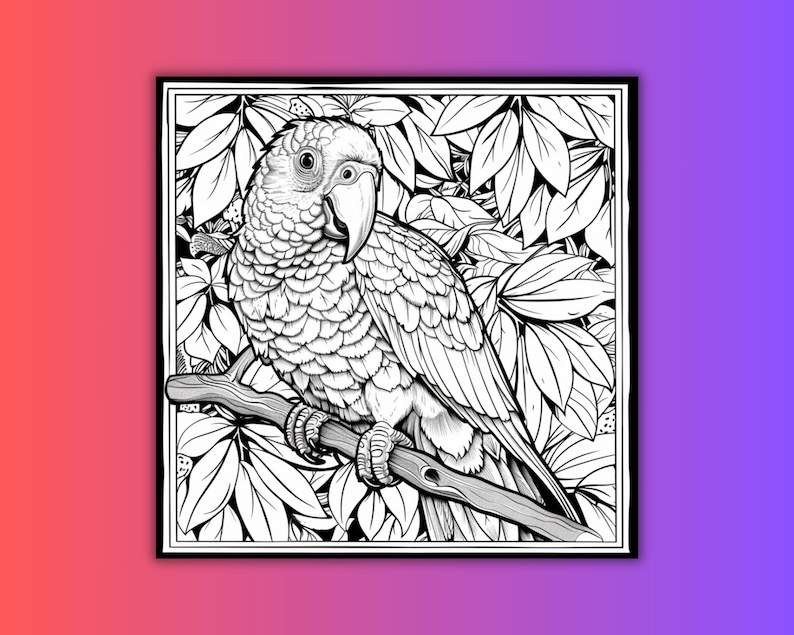 Beautiful Parrot Coloring Pages Instant Download US Letter & A4 Sizes ...