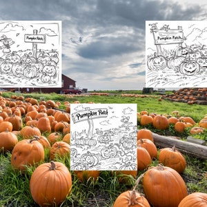 Pumpkin Patch Coloring Pages: Fall & Halloween Fun (digital Download ...