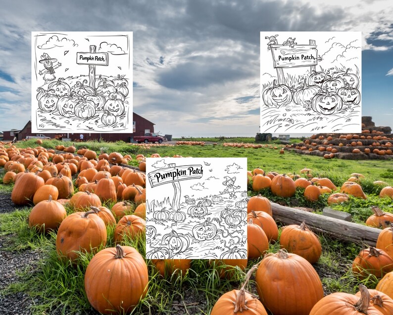 Pumpkin Patch Coloring Pages: Fall & Halloween Fun (digital Download ...