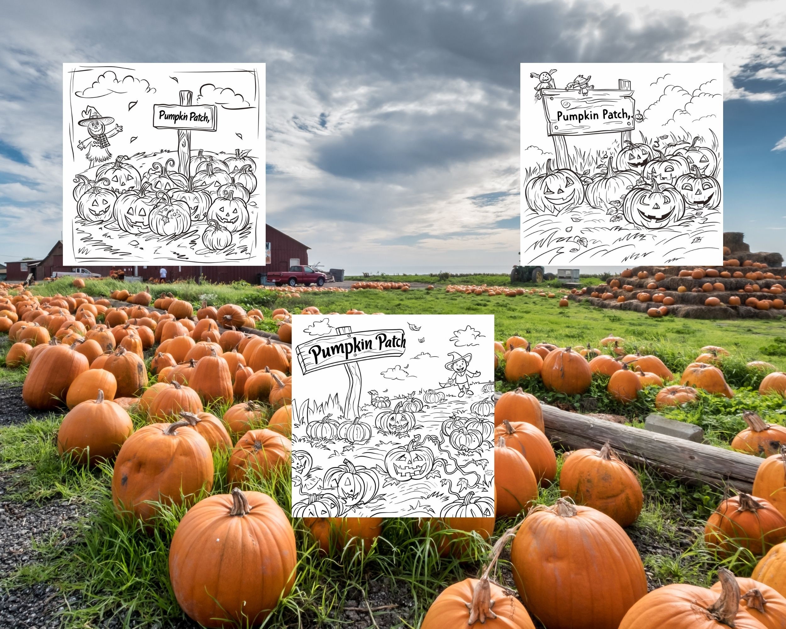 Pumpkin Patch Coloring Pages: Fall & Halloween Fun (digital Download ...