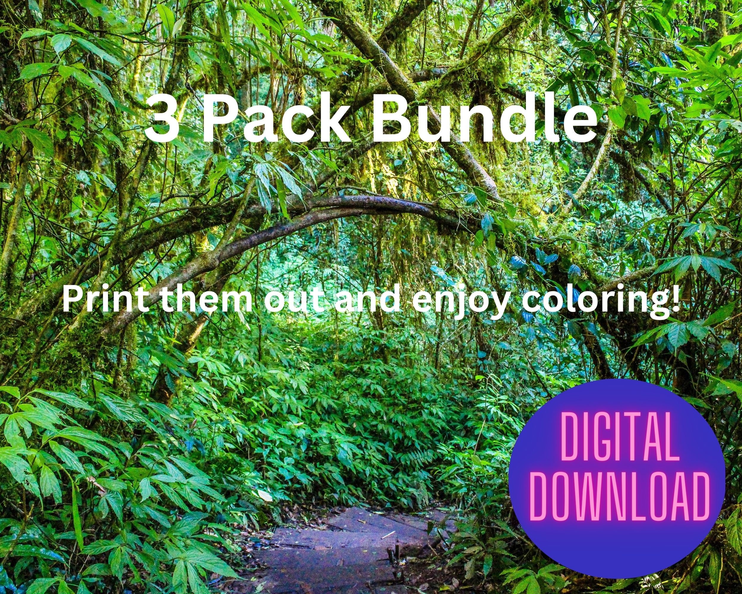 Enchanting Tiger Coloring Pages - Set of 3 Printable Black & White PDF ...