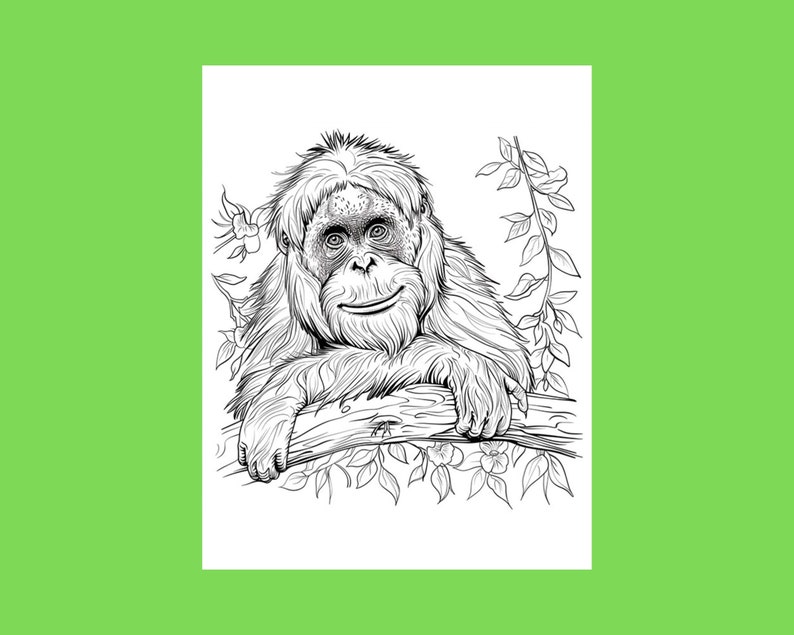 Intricate Orangutan Coloring Pages: Wildlife Art (printable PDF) - Etsy