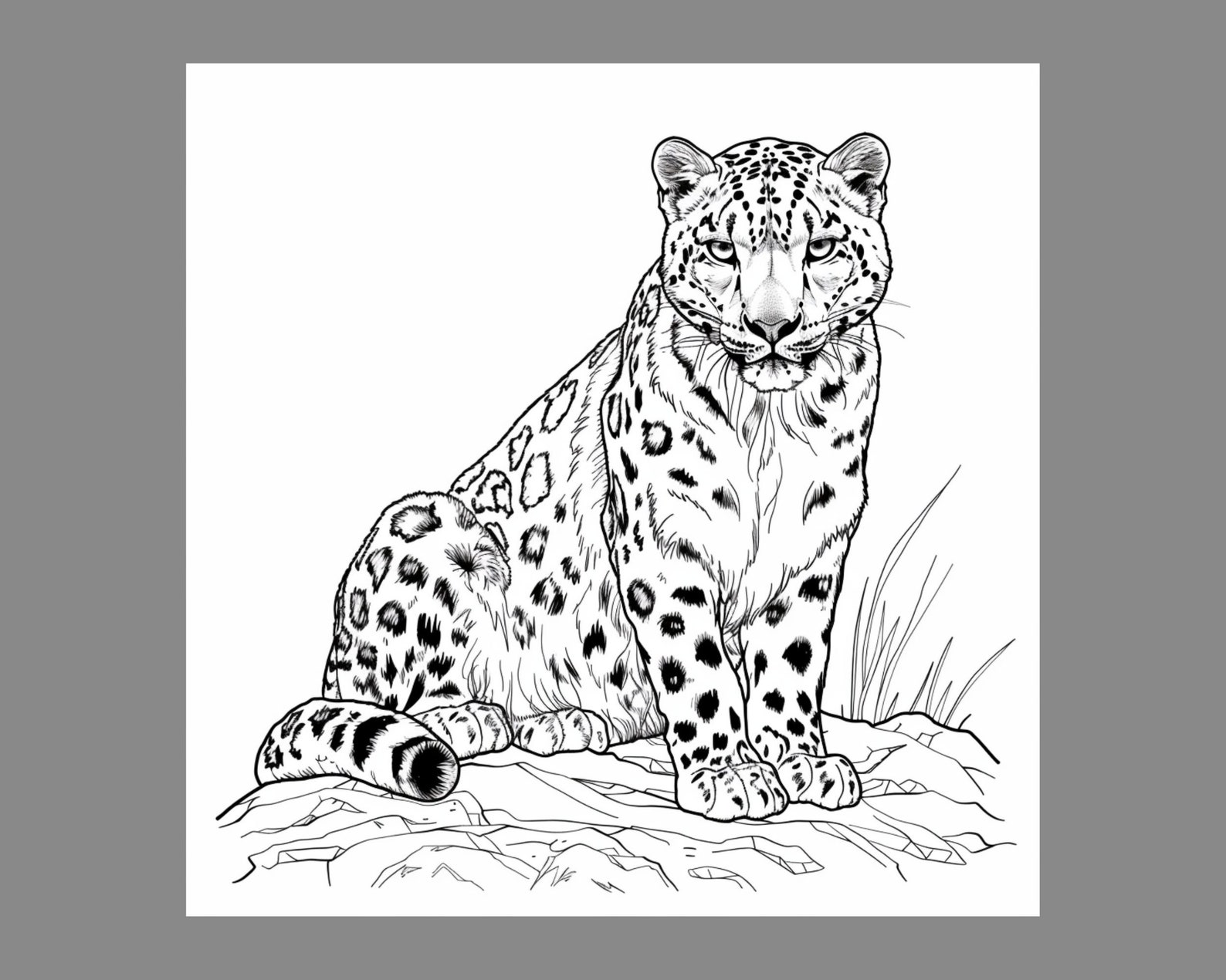 Exquisite Snow Leopard Coloring Pages - Instant Download - US Letter ...