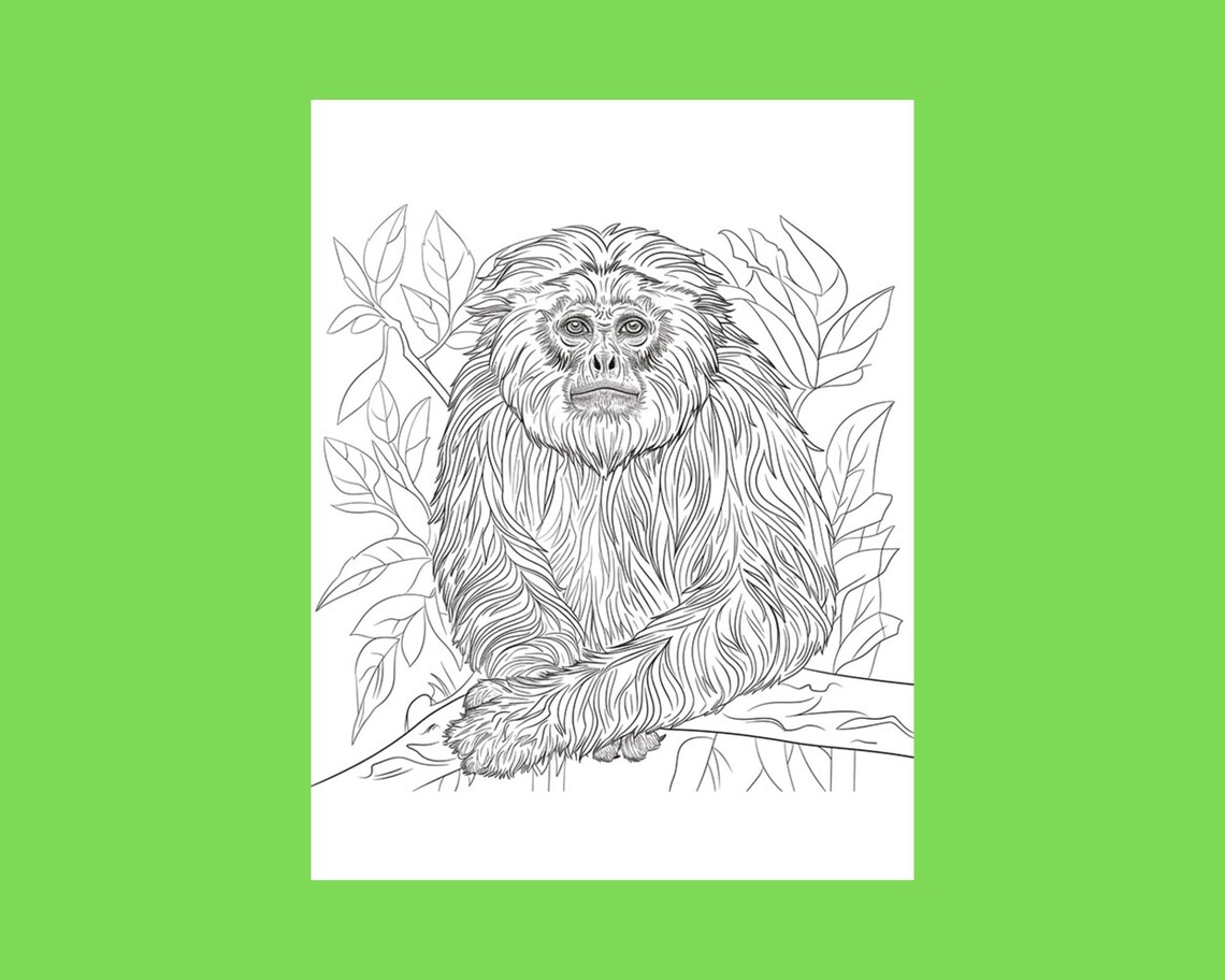 Gibbon Coloring Pages: Detailed Wildlife Art (printable PDF) - Etsy