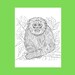 Gibbon Coloring Pages: Detailed Wildlife Art (printable PDF) - Etsy