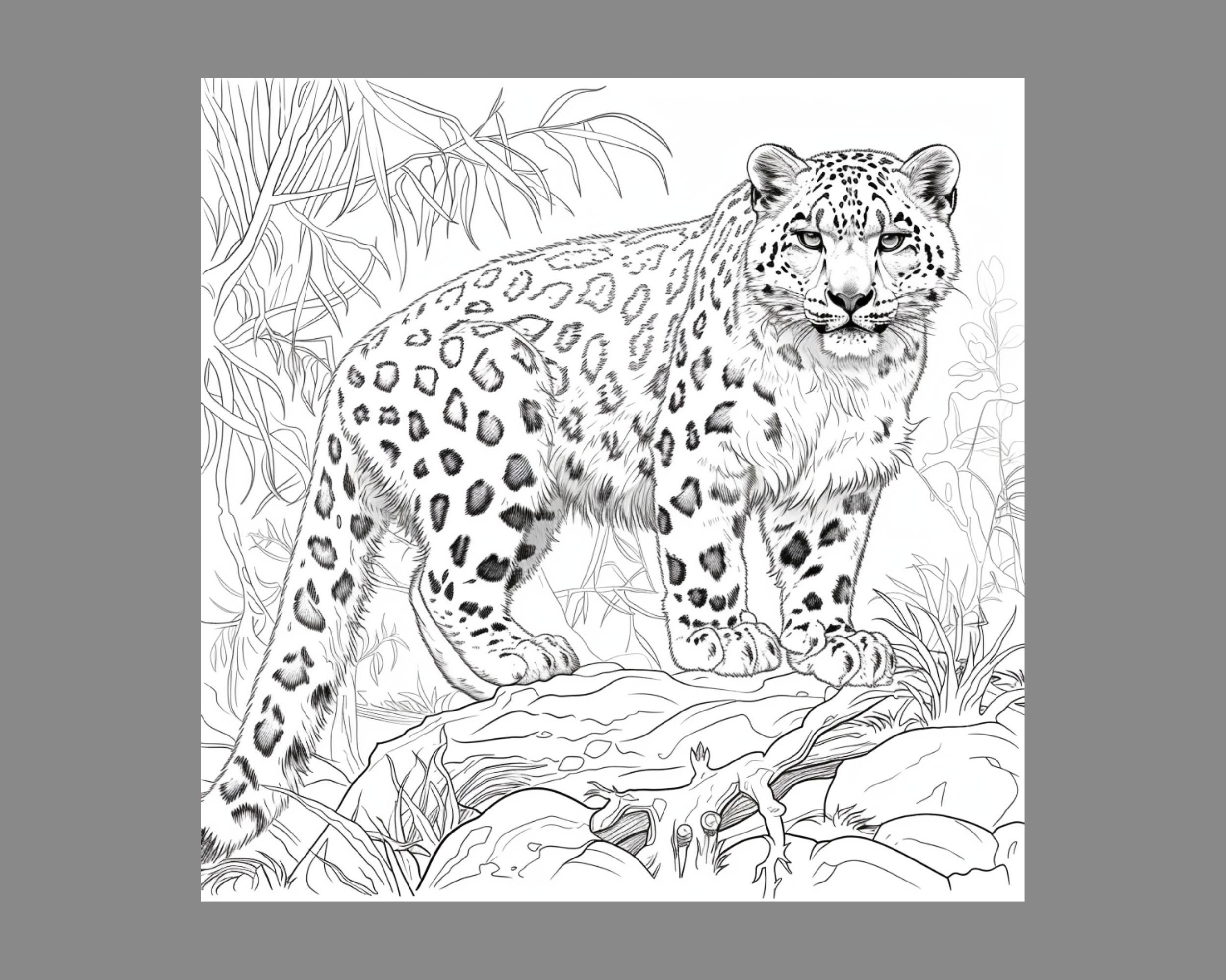 Exquisite Snow Leopard Coloring Pages - Instant Download - US Letter ...