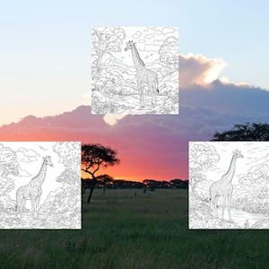 Giraffe Coloring Pages for Kids & Adults | Printable Safari Animal ...