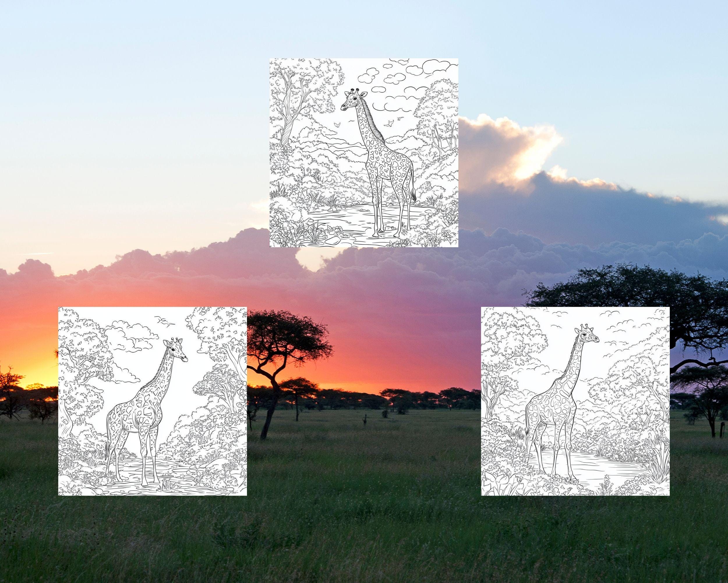 Giraffe Coloring Pages for Kids & Adults | Printable Safari Animal ...