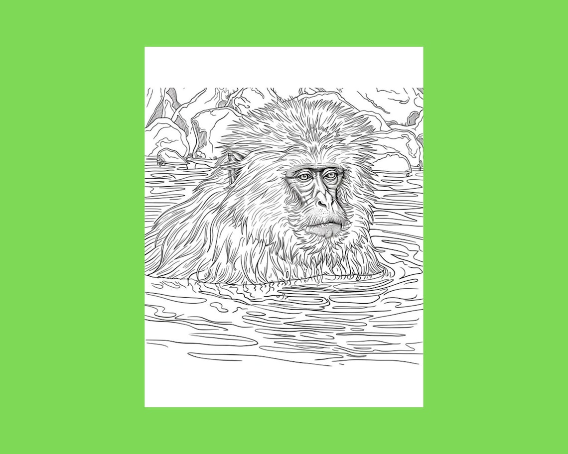 Macaque Coloring Pages Digital Download, Detailed Wildlife Art ...