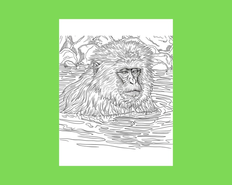Macaque Coloring Pages - Digital Download, Detailed Wildlife Art ...