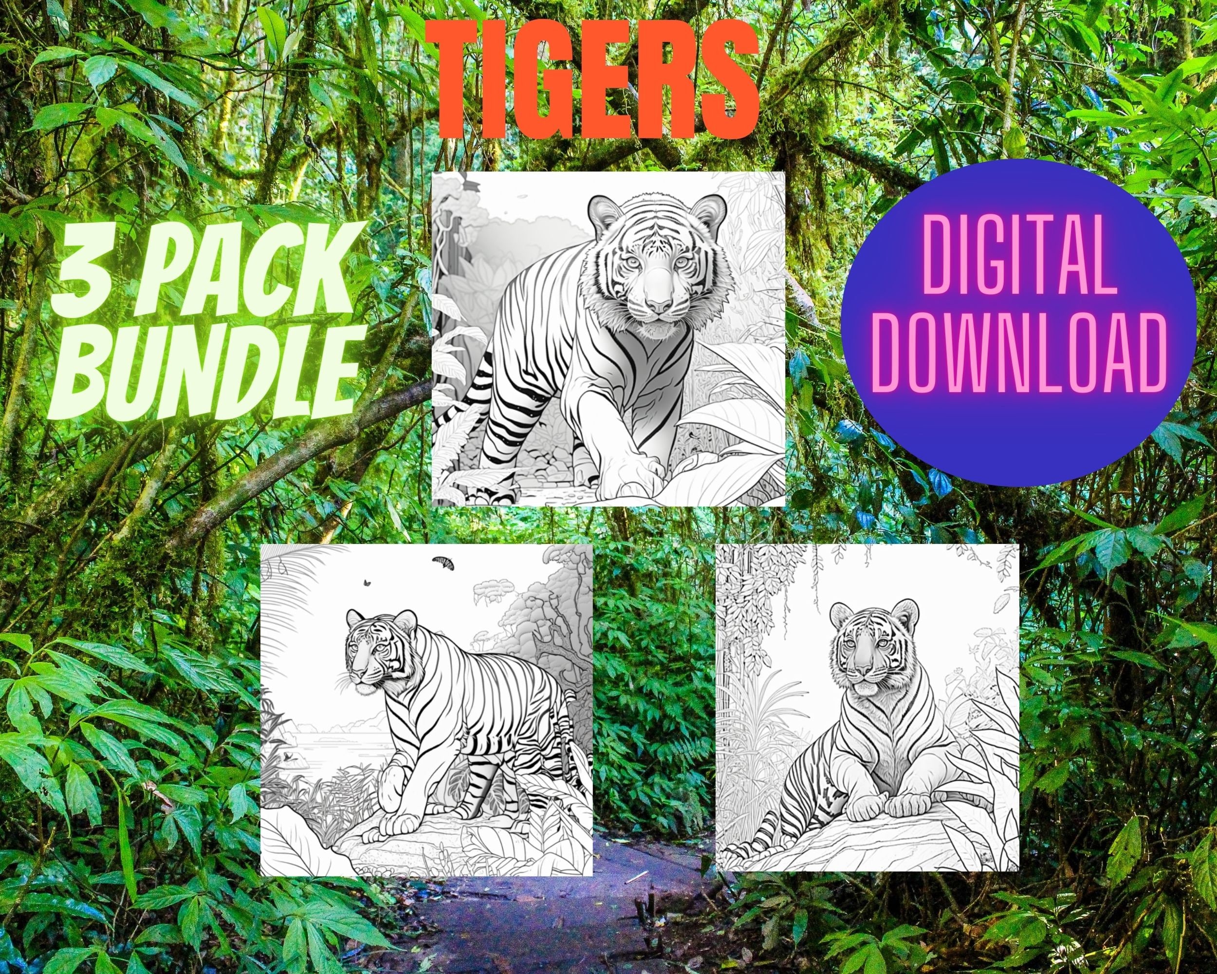 Enchanting Tiger Coloring Pages - Set of 3 Printable Black & White PDF ...