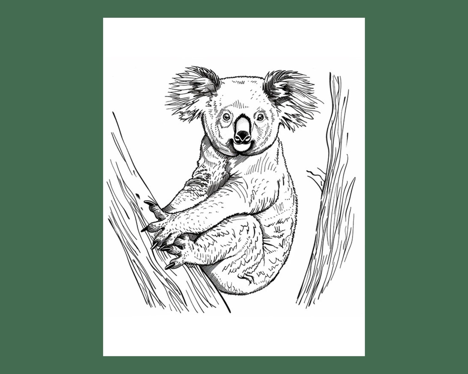 Koala Bear Coloring Pages - Digital Download, Detailed Wildlife Art ...
