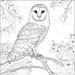 Beautiful Barn Owl Coloring Pages - Digital Download, US Letter & A4 ...