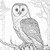 Beautiful Barn Owl Coloring Pages - Digital Download, US Letter & A4 ...