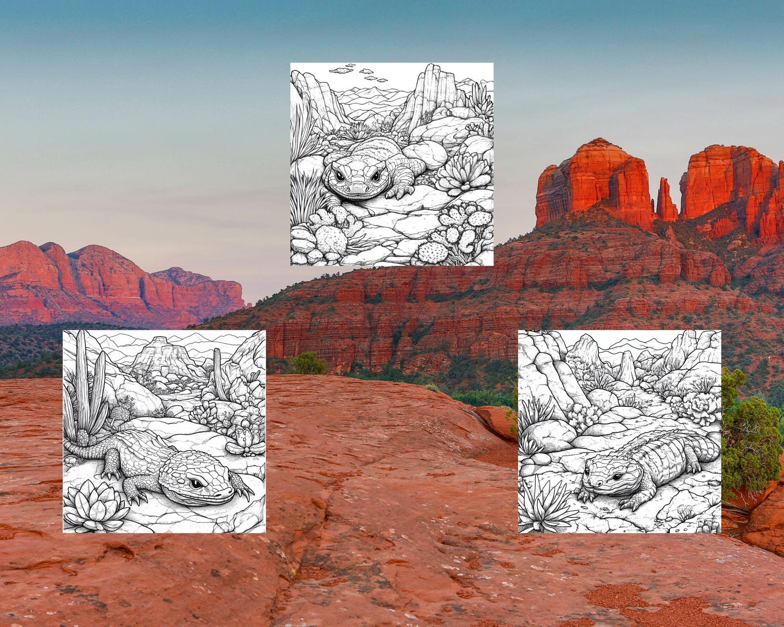 Gila Monster Coloring Pages for Kids | Desert Wildlife Digital Download ...