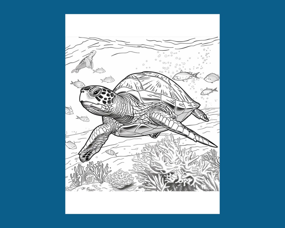Sea Turtle Coloring Pages - Digital Download, Detailed Marine Life Art ...