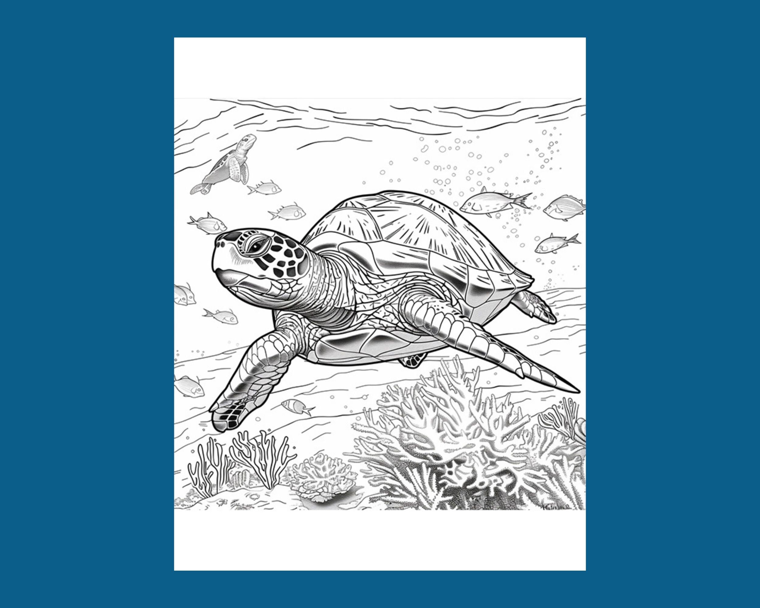 Sea Turtle Coloring Pages - Digital Download, Detailed Marine Life Art ...