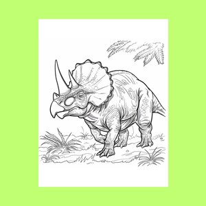 Triceratops Coloring Pages: Detailed Dinosaur Art (digital Download) - Etsy
