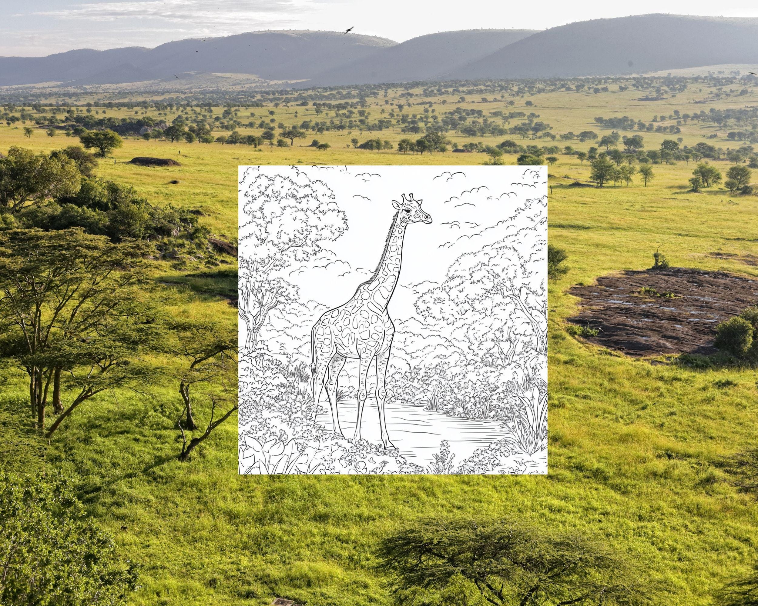 Giraffe Coloring Pages for Kids & Adults | Printable Safari Animal ...