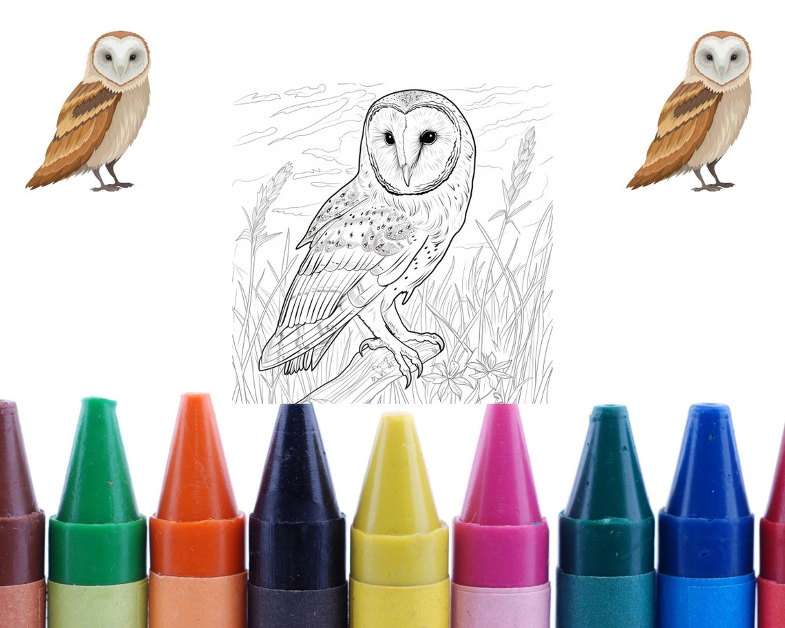 Beautiful Barn Owl Coloring Pages - Digital Download, US Letter & A4 ...