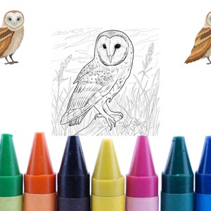 Beautiful Barn Owl Coloring Pages - Digital Download, US Letter & A4 ...