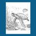 Sea Turtle Coloring Pages Digital Download, Detailed Marine Life Art ...