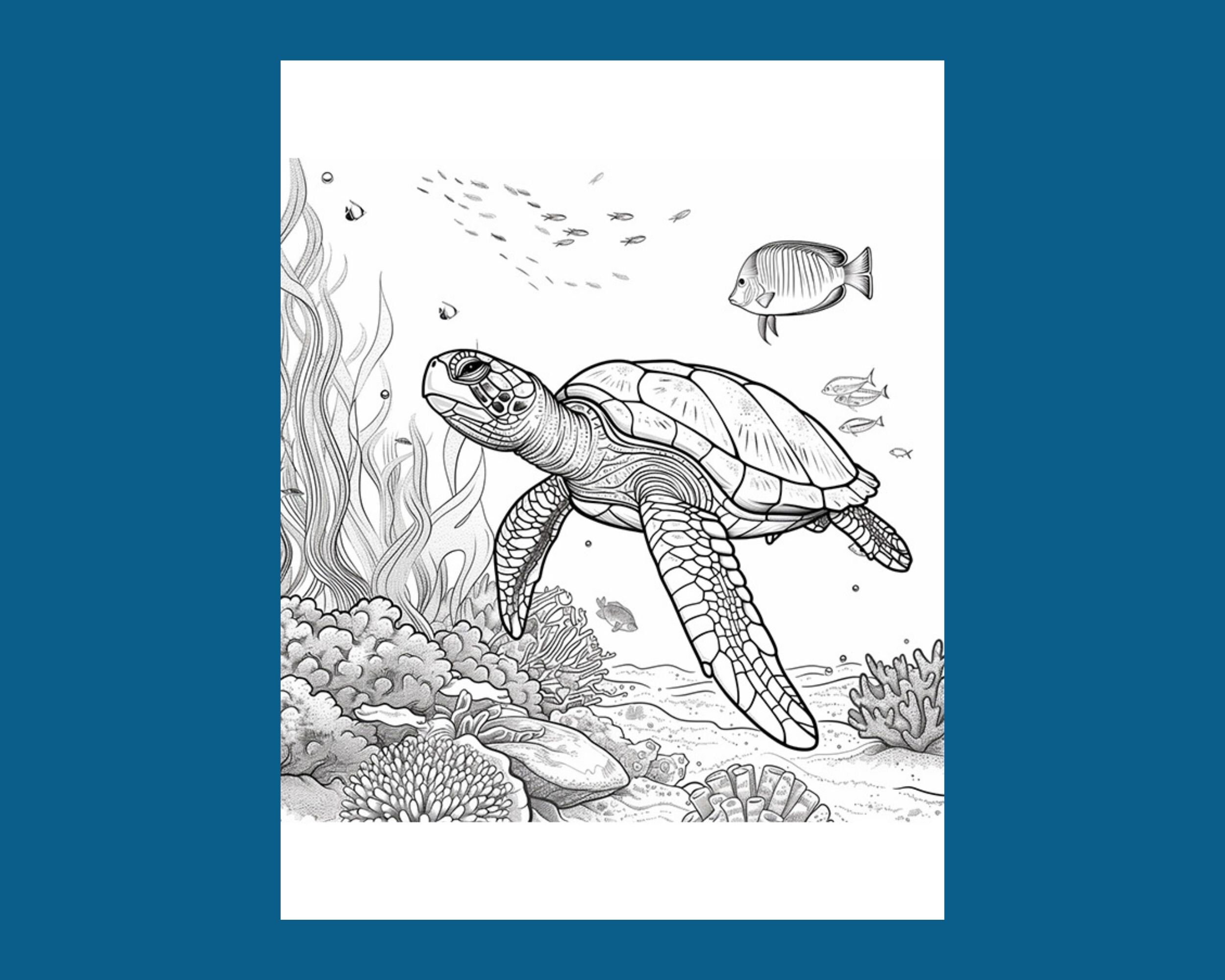 Detailed Sea Turtle Advanced Coloring Page A To Z Dandadan Coloring