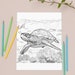 Sea Turtle Coloring Pages - Digital Download, Detailed Marine Life Art ...
