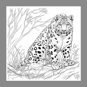Exquisite Snow Leopard Coloring Pages - Instant Download - US Letter ...