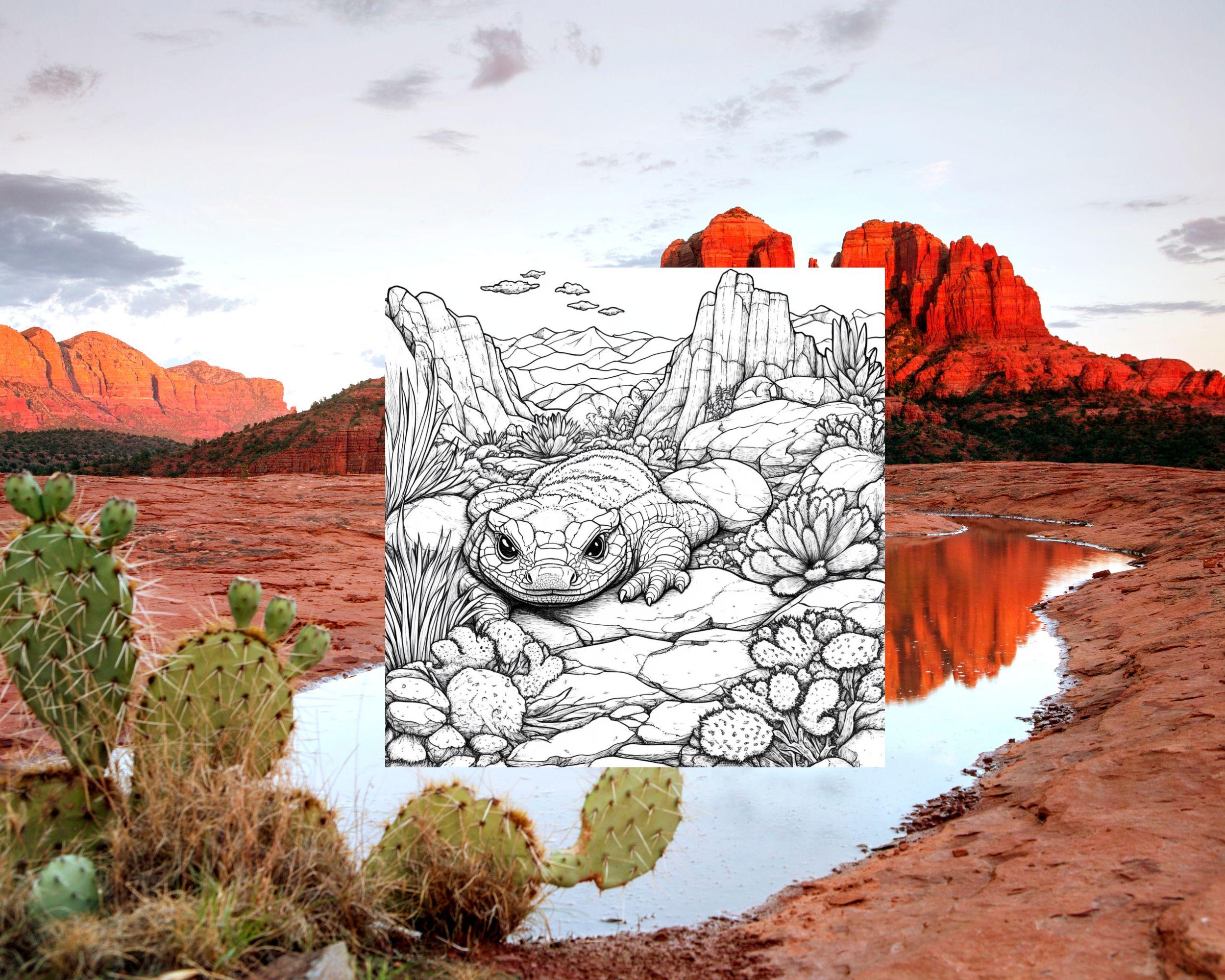 Gila Monster Coloring Pages for Kids | Desert Wildlife Digital Download ...