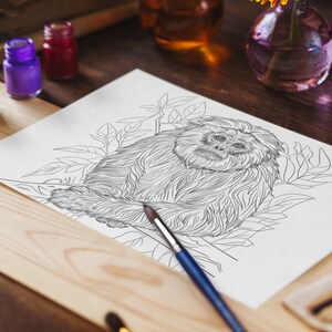 Gibbon Coloring Pages: Detailed Wildlife Art (printable PDF) - Etsy