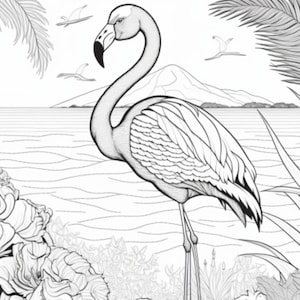 Flamingo Coloring Pages: Set of 3 Printable PDF Illustrations - Etsy