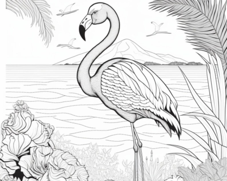 Flamingo Coloring Pages: Set of 3 Printable PDF Illustrations - Etsy