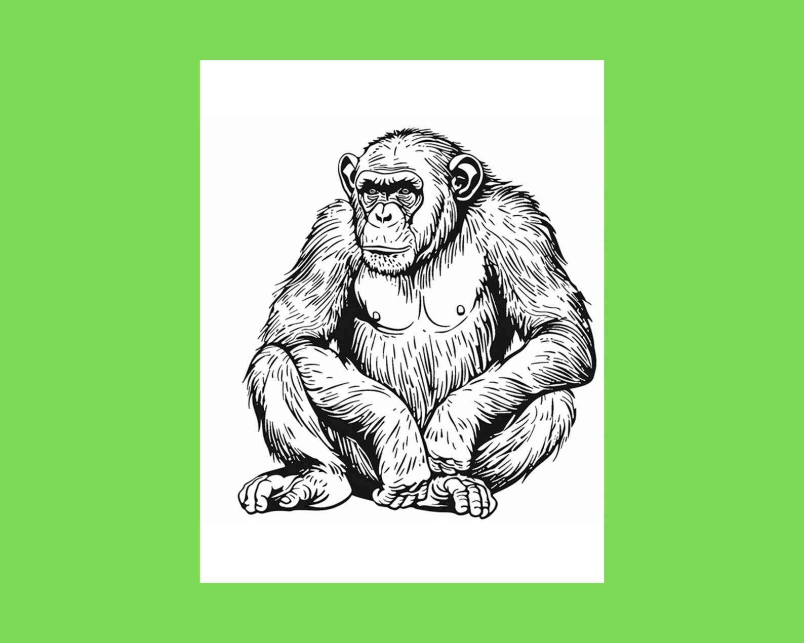 Chimpanzee Coloring Pages - Digital Download, Detailed Wildlife Art ...