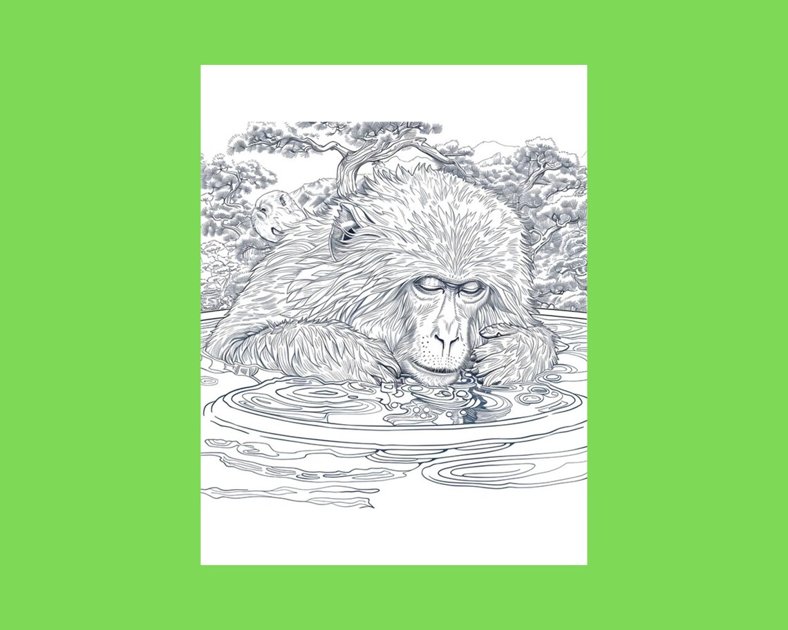 Macaque Coloring Pages - Digital Download, Detailed Wildlife Art ...
