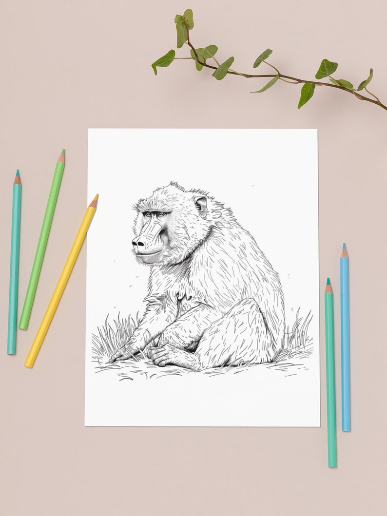 Detailed Baboon Coloring Pages: Wildlife Art, Printable PDF (US Letter ...