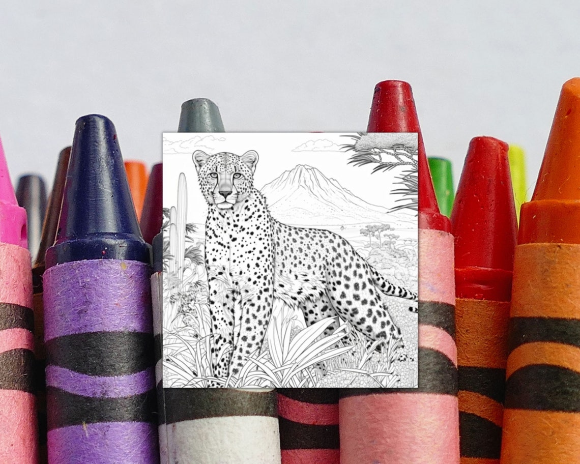 Cheetah Coloring Pages - Elegant Black & White Outlined Printable PDF in US Letter and A4 Size ...