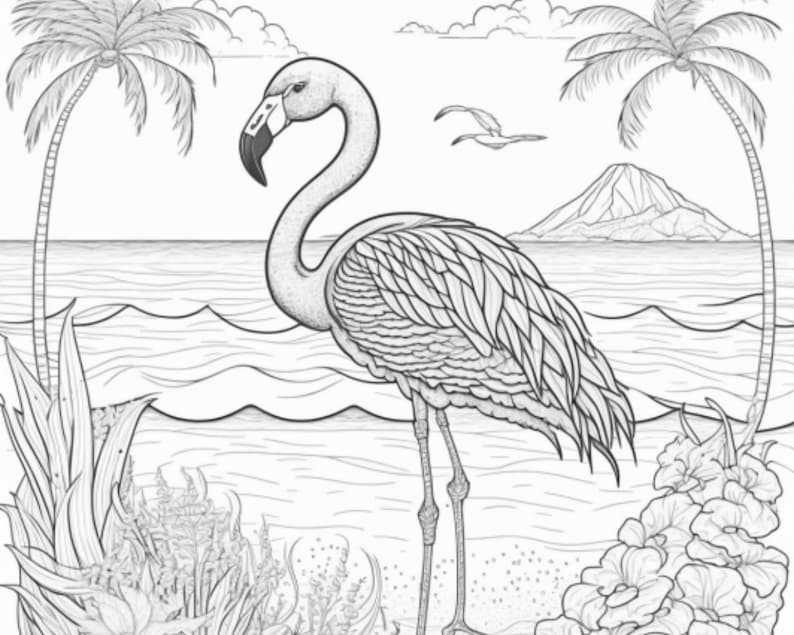 Flamingo Coloring Pages: Set of 3 Printable PDF Illustrations - Etsy