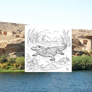 Crocodile Coloring Pages for Kids: Educational Activity (digital ...