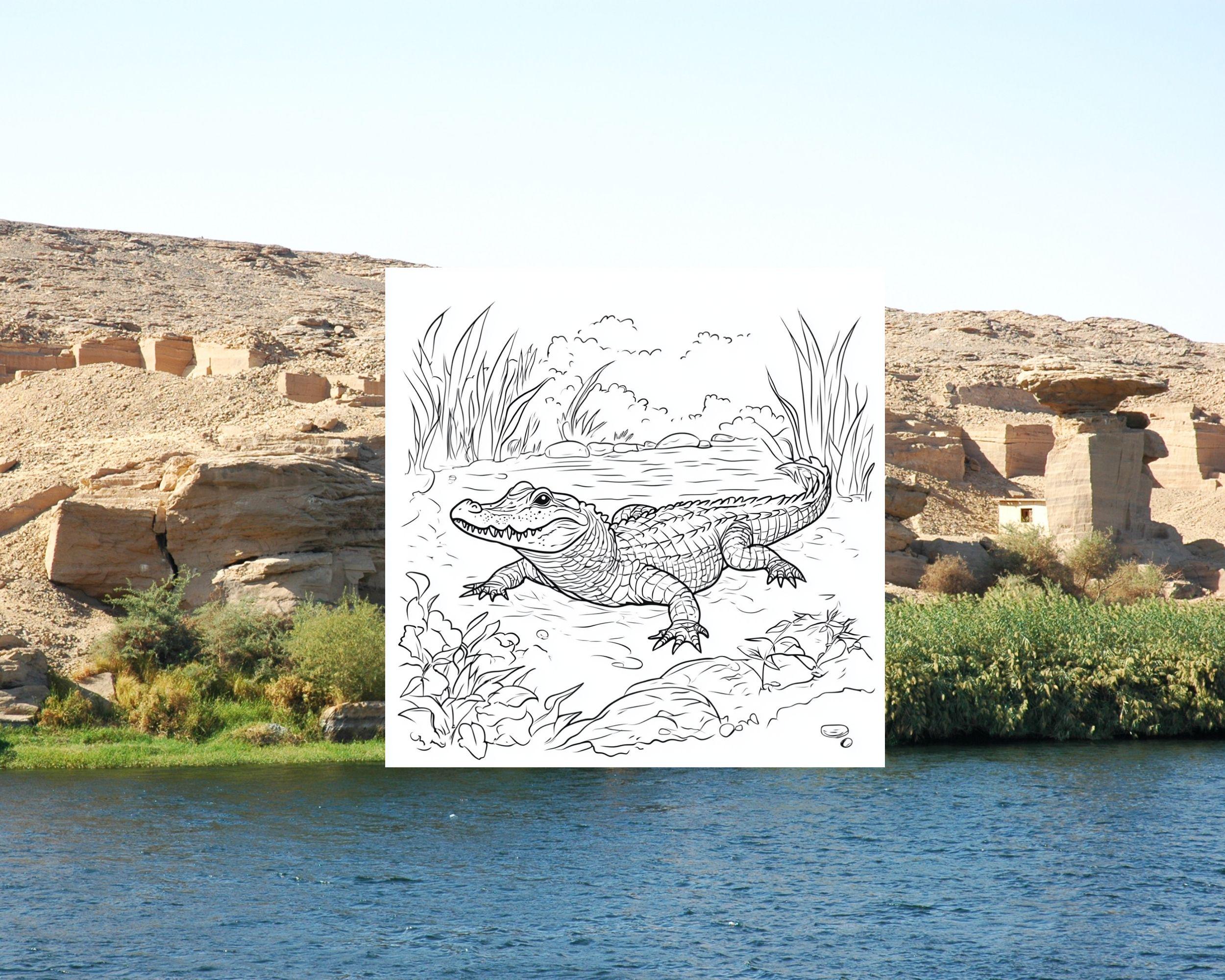 Crocodile Coloring Pages for Kids: Educational Activity (digital ...