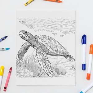 Sea Turtle Coloring Pages - Digital Download, Detailed Marine Life Art ...