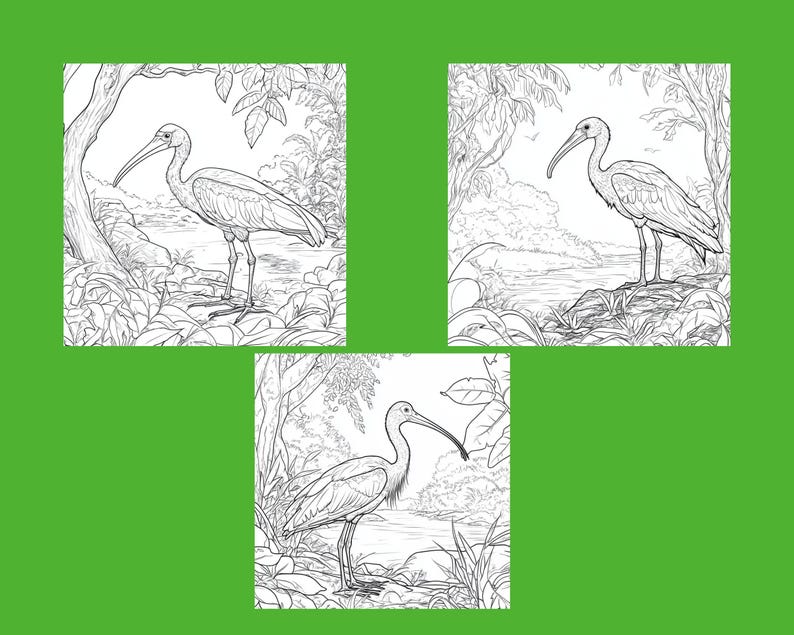 Stunning Scarlet Ibis Coloring Pages | Printable Bird-themed Coloring ...