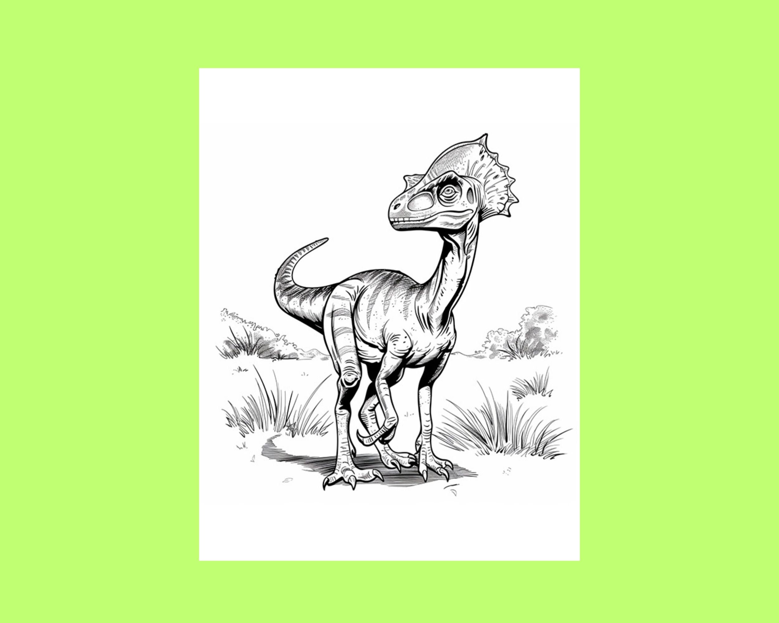 Dilophosaurus Coloring Pages - Printable Dinosaur Art, Digital Download ...