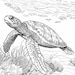 Sea Turtle Coloring Pages - Digital Download, Detailed Marine Life Art ...