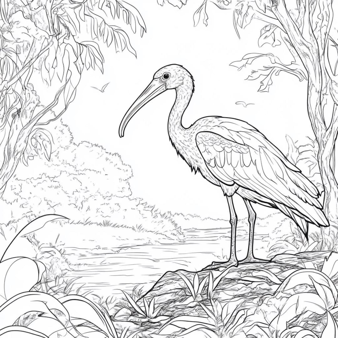 Stunning Scarlet Ibis Coloring Pages | Printable Bird-themed Coloring ...