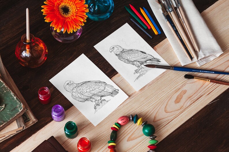 Majestic Bald Eagle Coloring Pages - Digital Download, Detailed Bird ...
