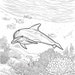 Detailed Dolphin Coloring Pages: Marine Life Art (digital Download) - Etsy