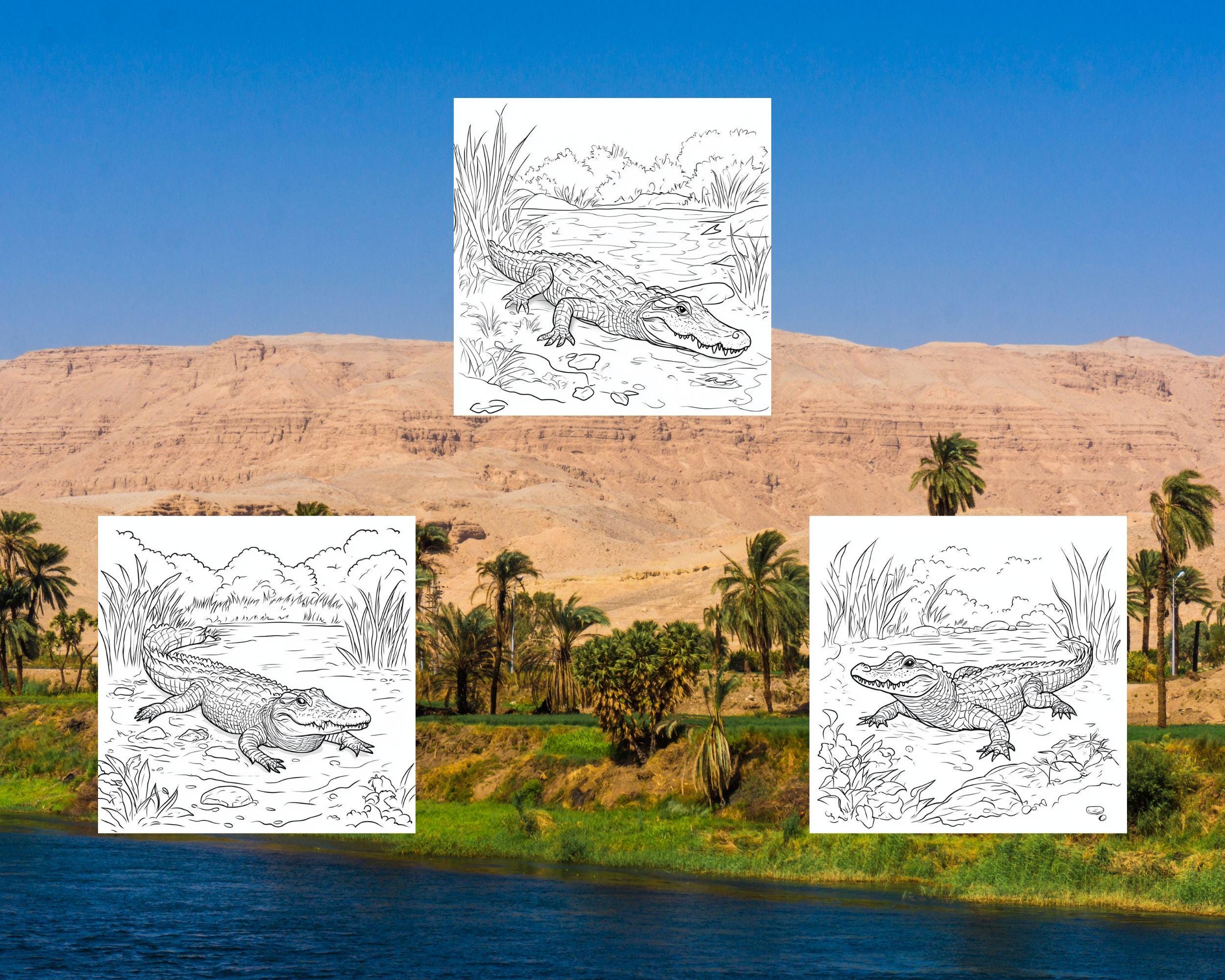 Crocodile Coloring Pages for Kids: Educational Activity (digital ...