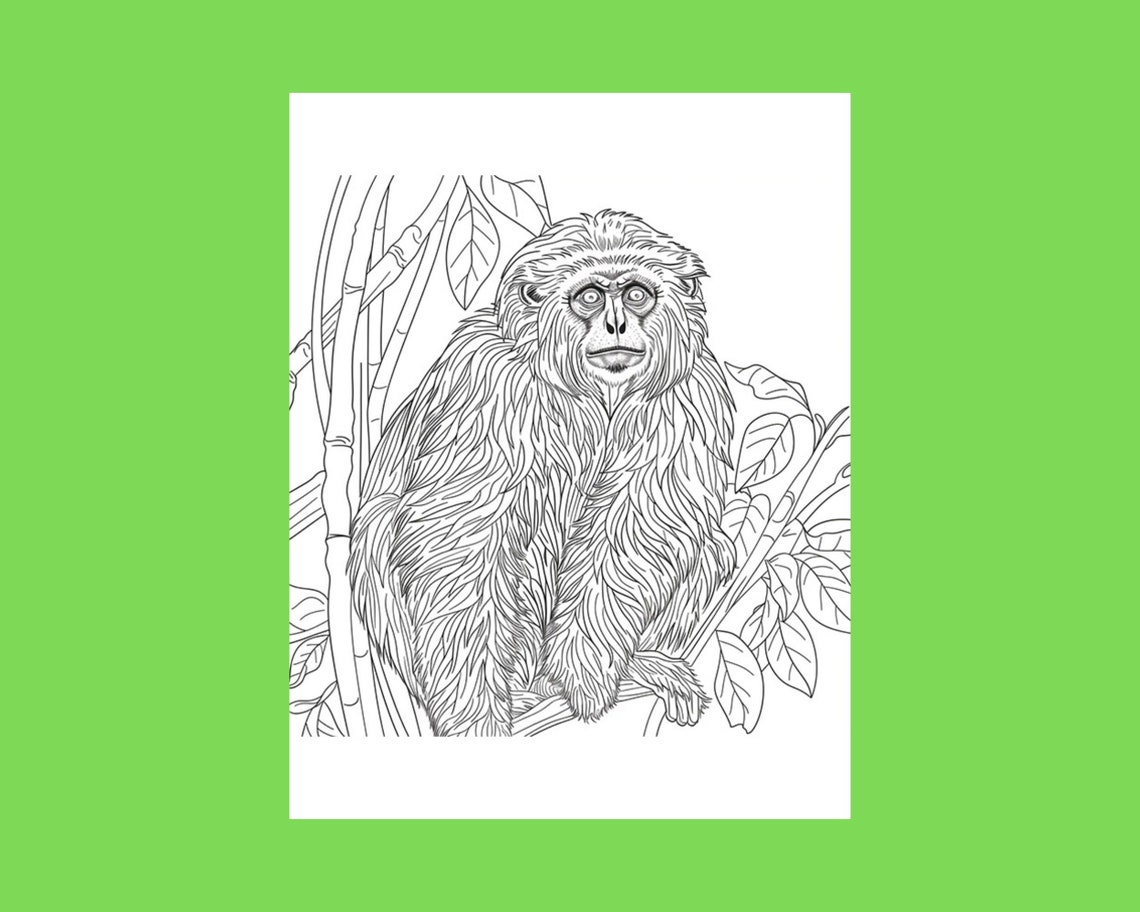 Gibbon Coloring Pages: Detailed Wildlife Art (printable PDF) - Etsy