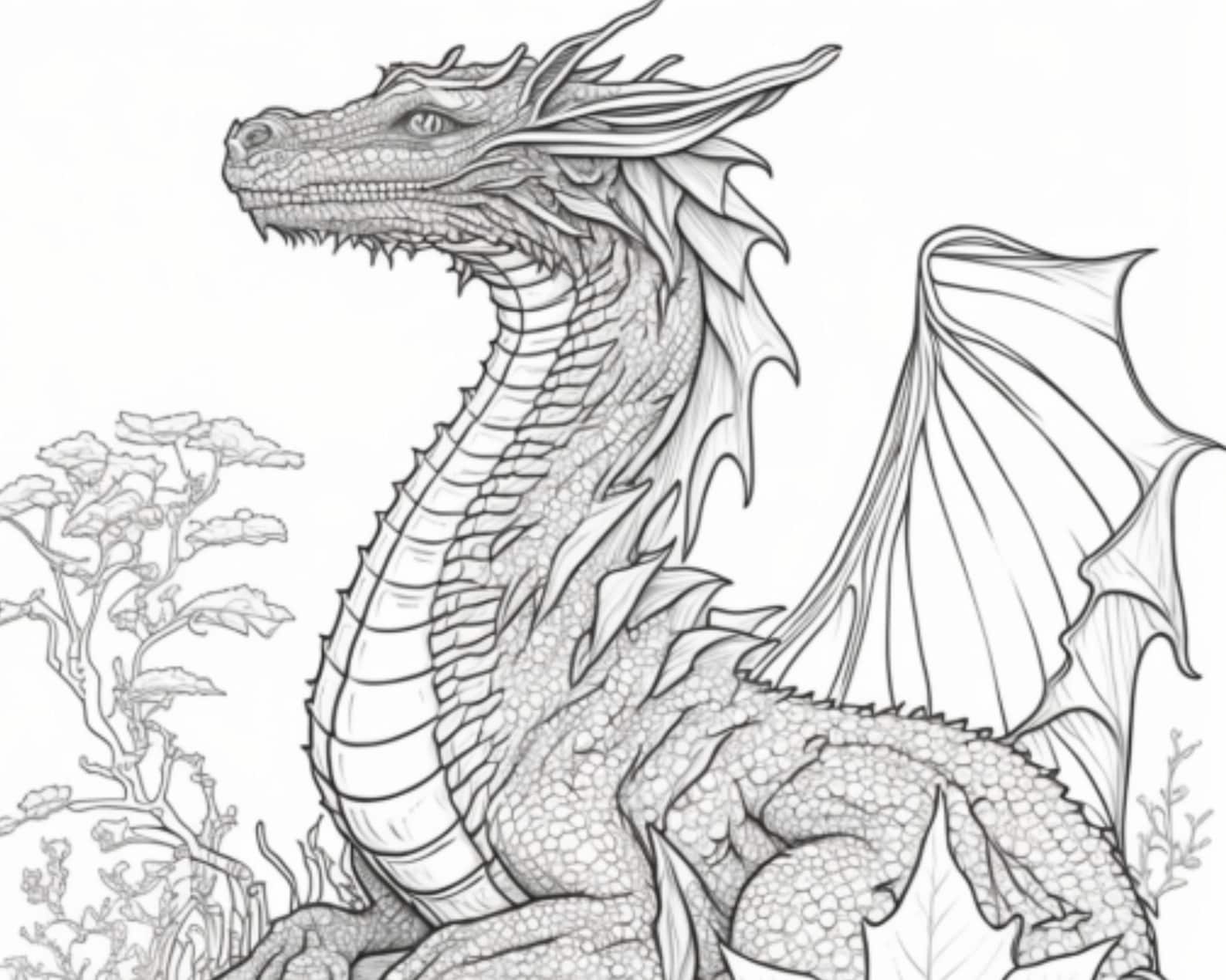 Dragon Coloring Pages: Set of 3 Printable PDF Illustrations (adults ...